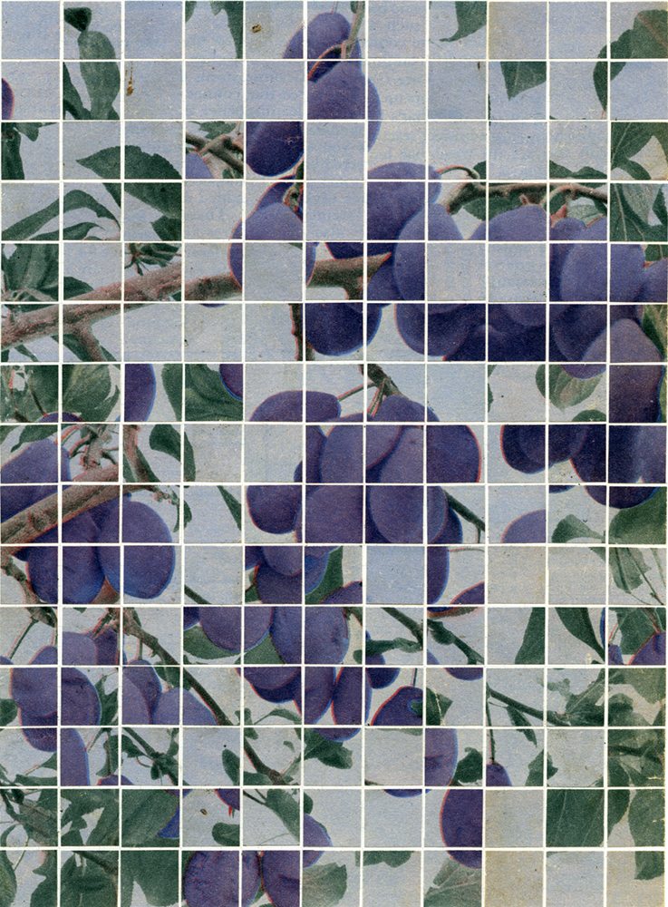 Anthony Gerace on combining photography, collage and design