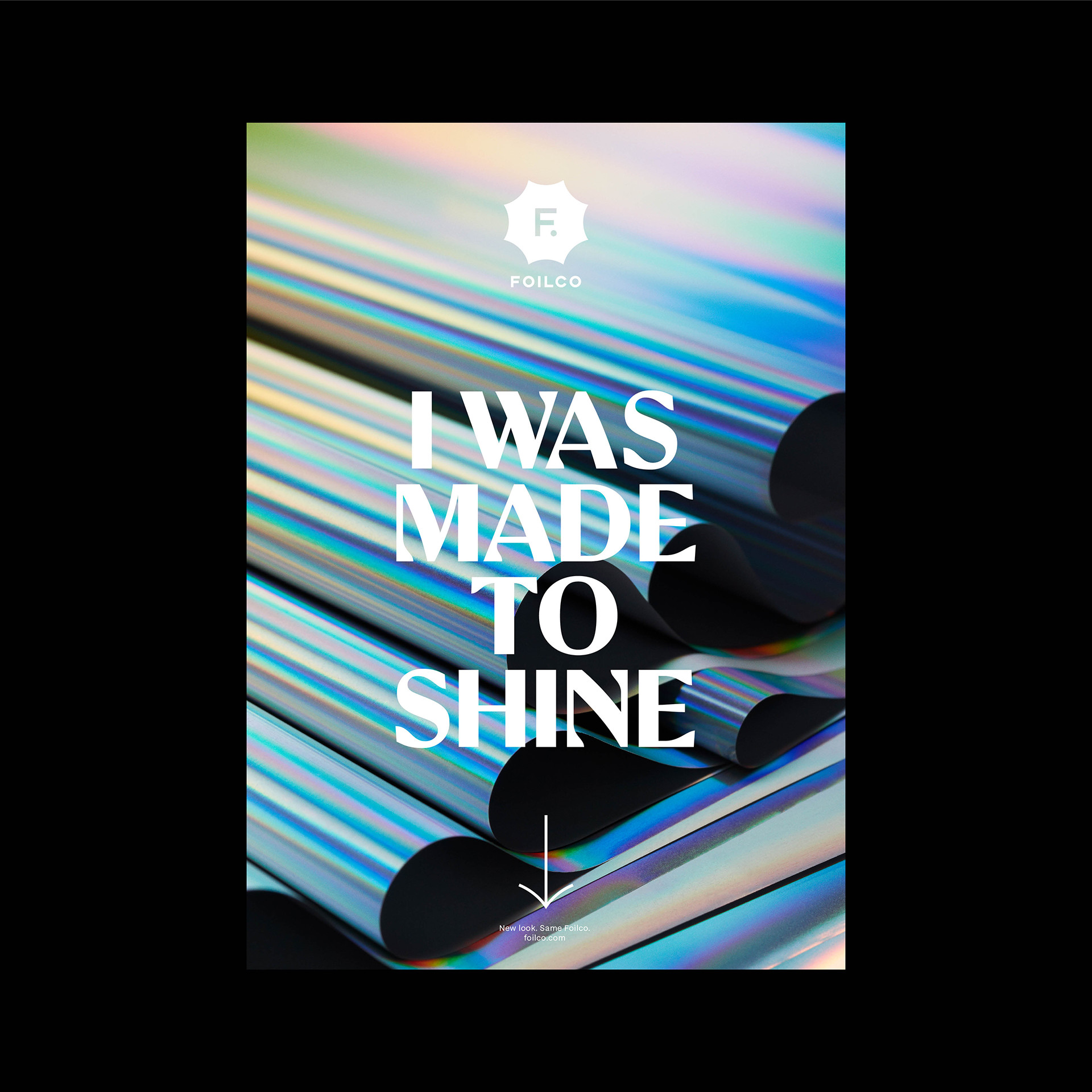 Studio DBD gives Foilco a contemporary upgrade with new rebrand