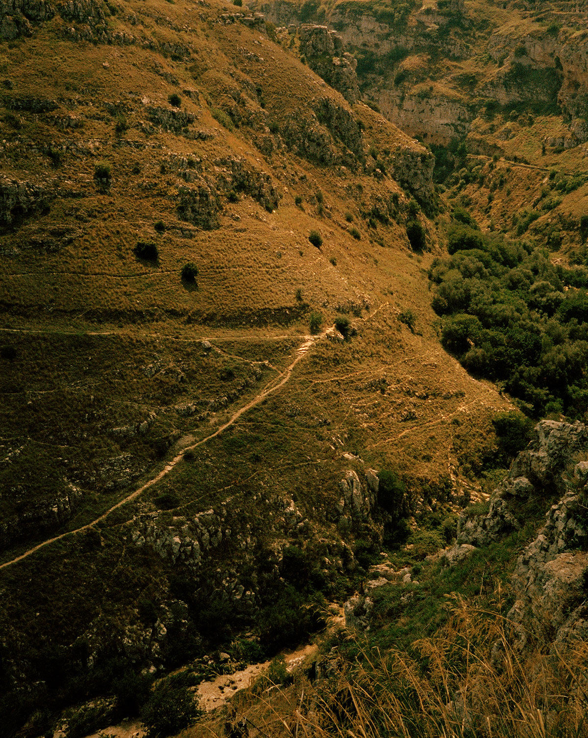 Photographer Jon Ervin explores masculinity and identity in his projects