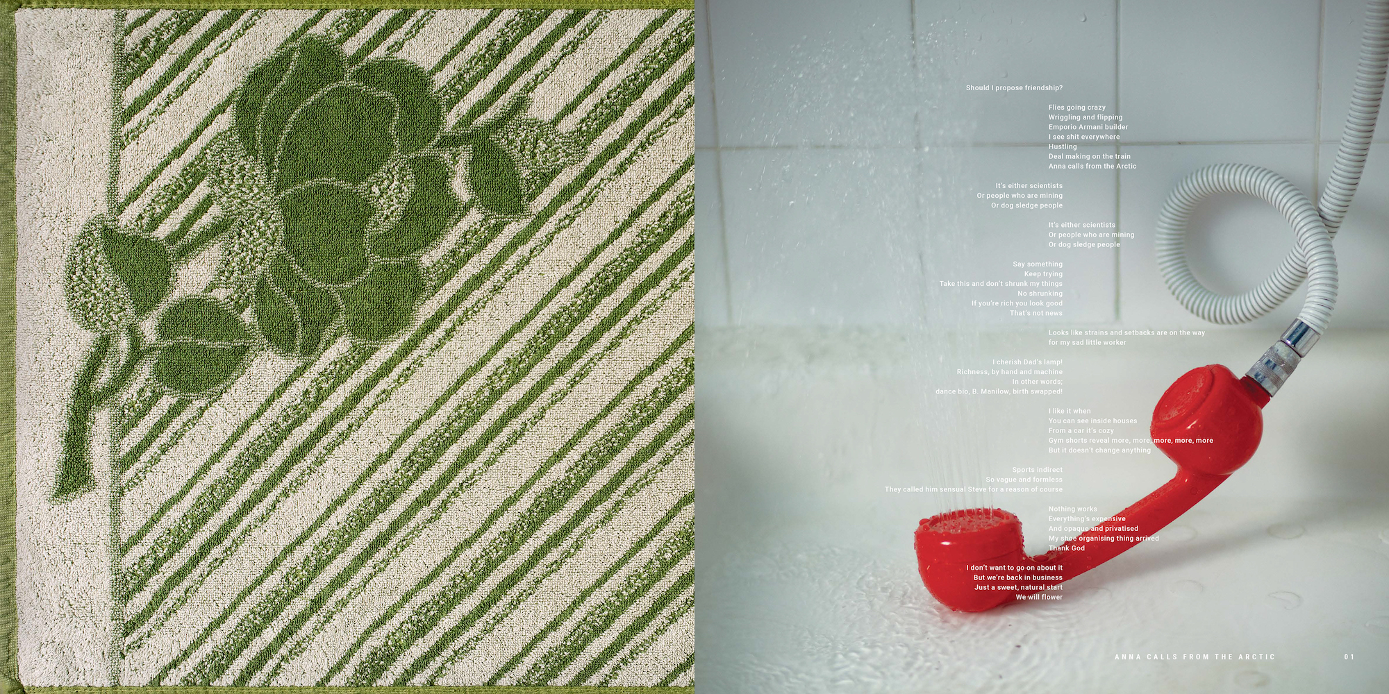 Rottingdean Bazaar and Annie Collinge create Dry Cleaning album artwork